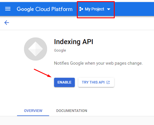 What is Google Index API and how to set it up?