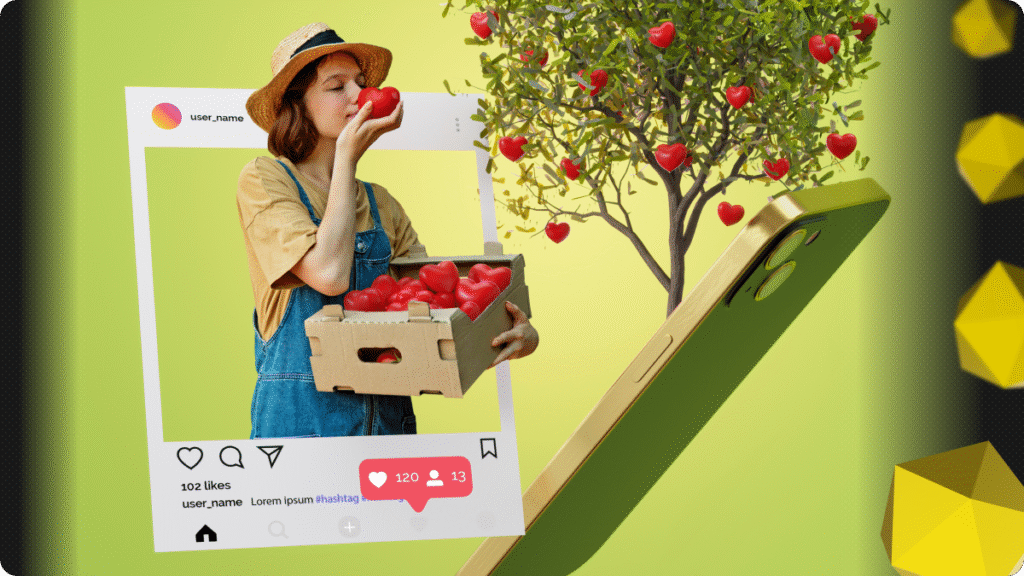 Launch of advertising on Instagram | Blog WEDEX